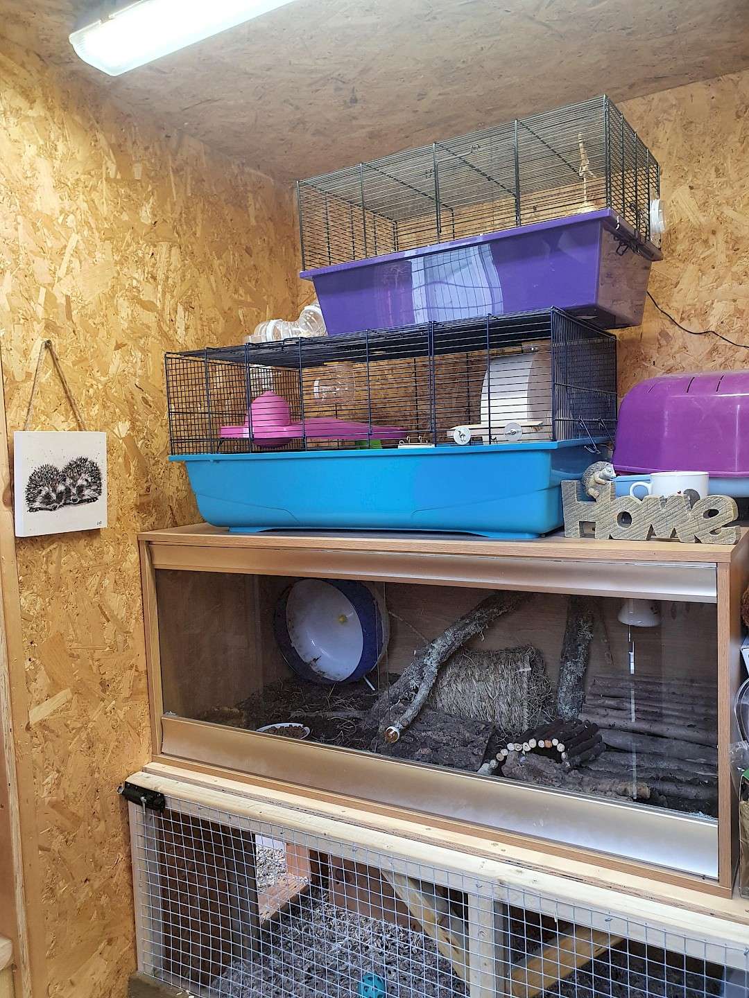 Our Enclosures | Our Animal World